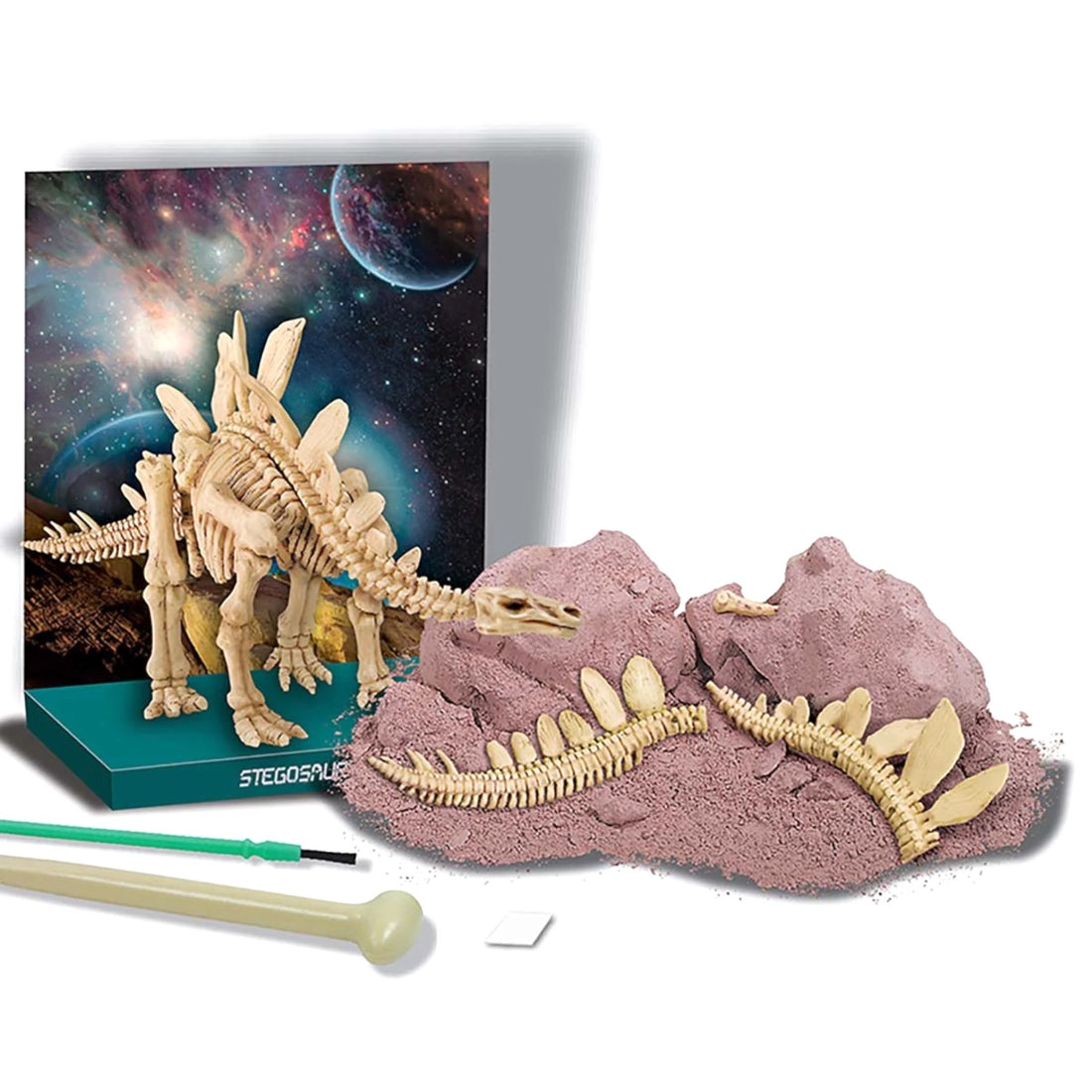 Dig A Dinosaur Skeleton - Stegosaurus – Oxford University Museum of ...